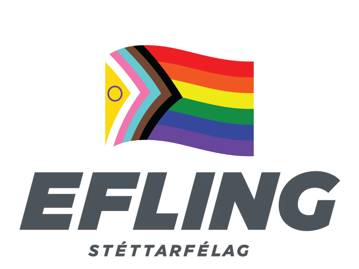 Happy Pride Parade- Efling stands with all LGBTQIA+ people - Efling ...